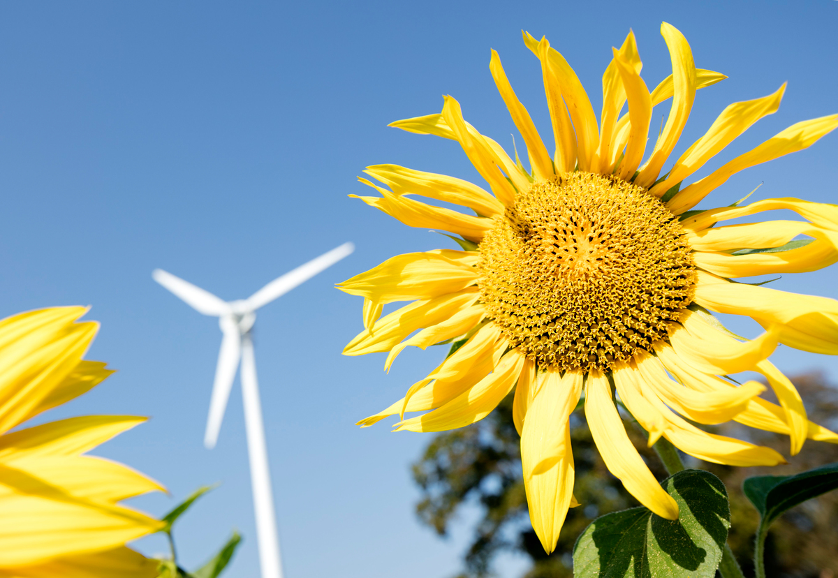 Greenpeace Budget Verdict: Small Change To Tackle The Climate And ...