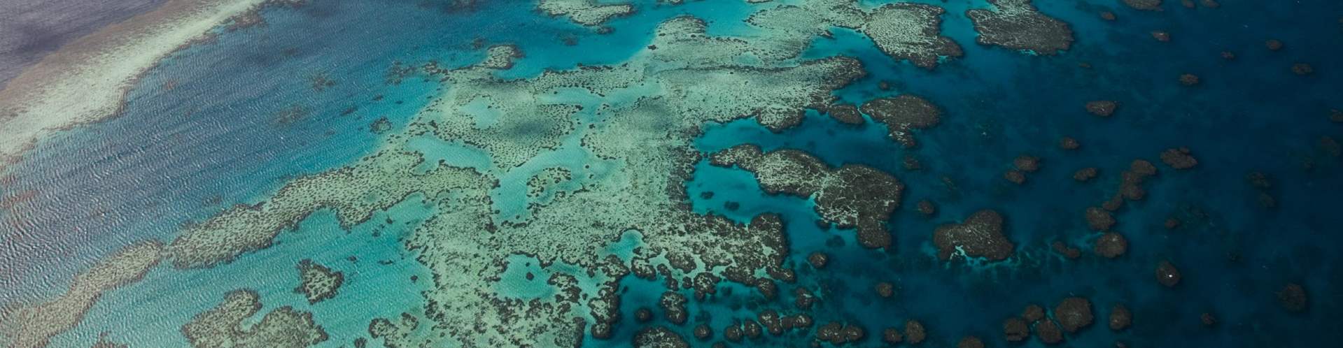Fighting against threats to the Great Barrier Reef - Greenpeace ...