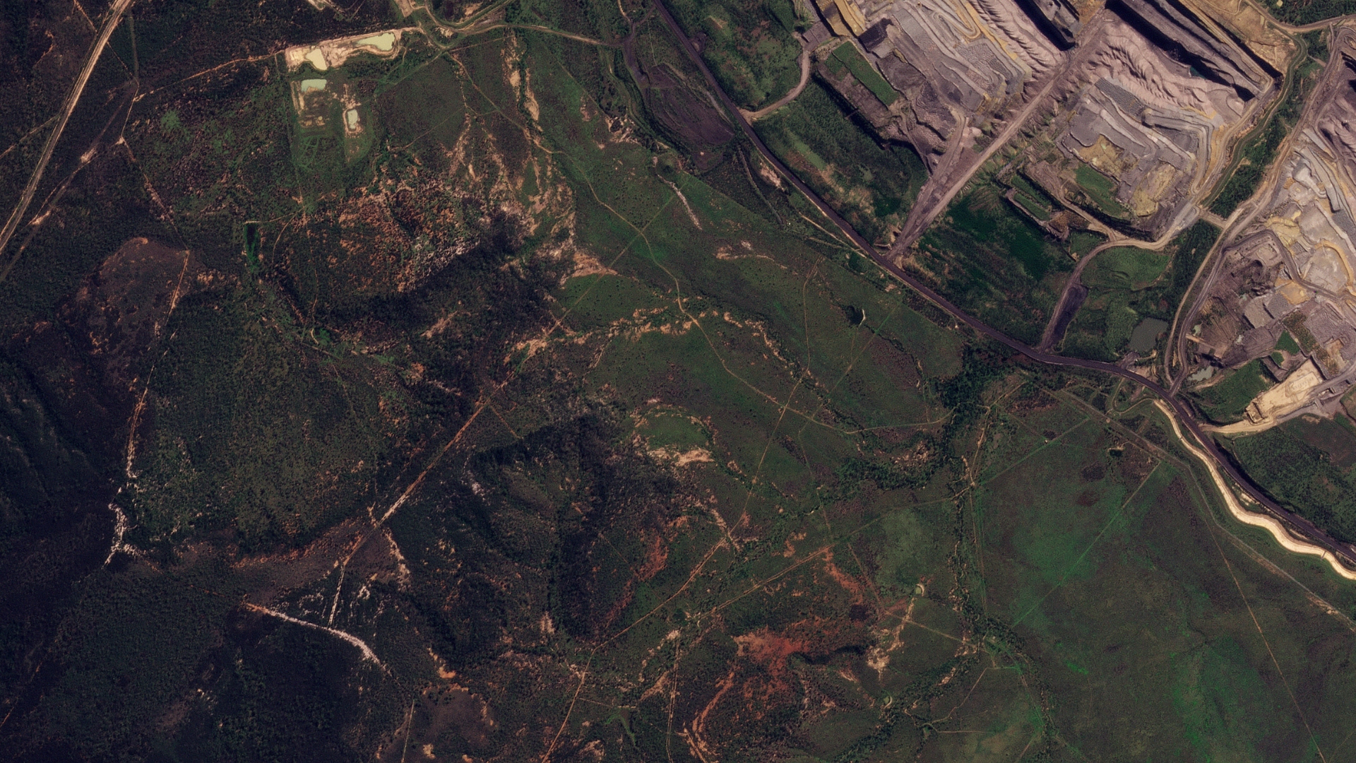 It’s time to fight deforestation. - Greenpeace Australia Pacific