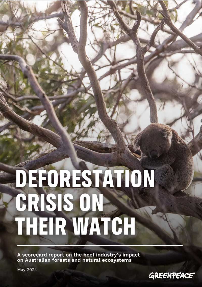 Report: Deforestation Crisis on Their Watch - Greenpeace Australia Pacific