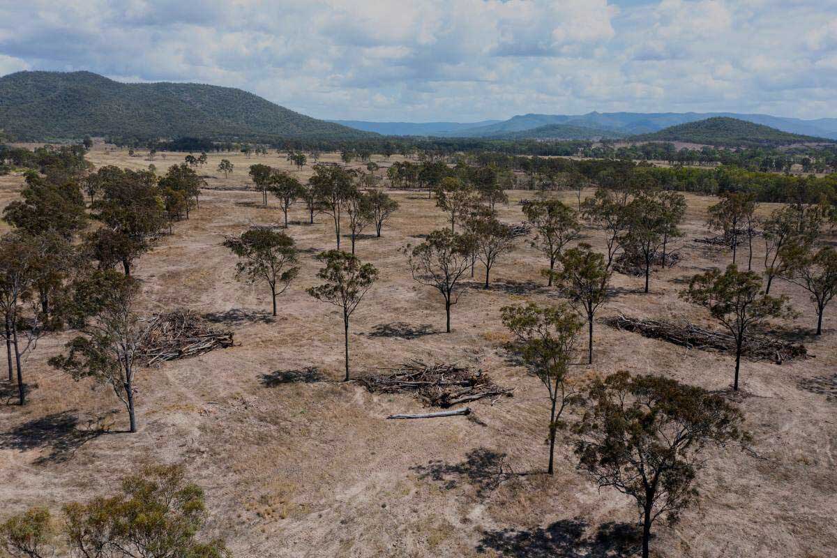 Report: Deforestation Crisis on Their Watch - Greenpeace Australia Pacific