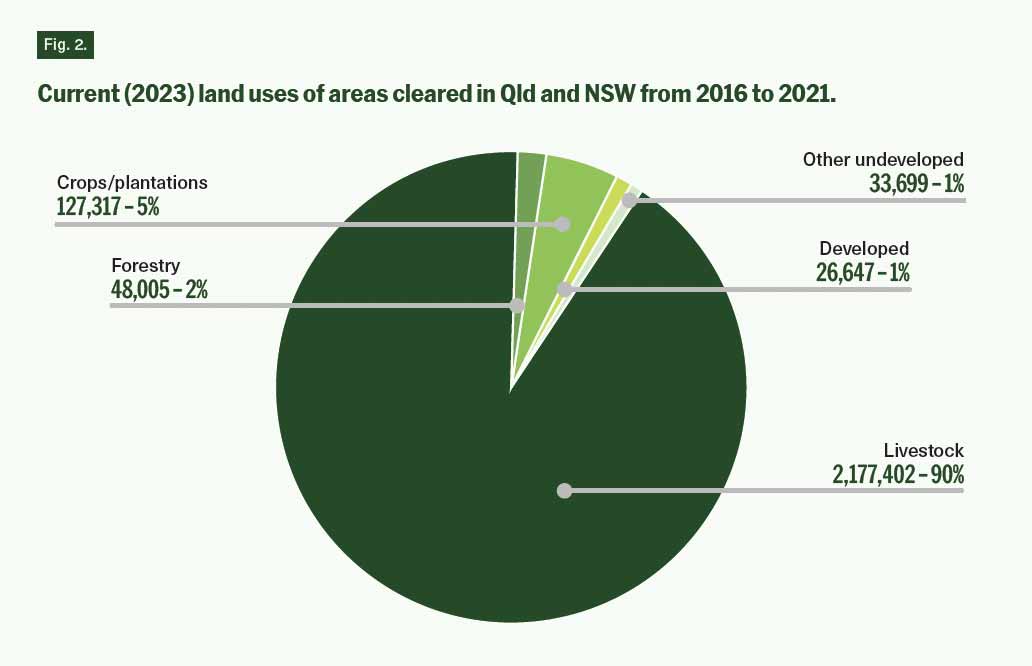 Report: The ongoing animal welfare crisis from deforestation in ...
