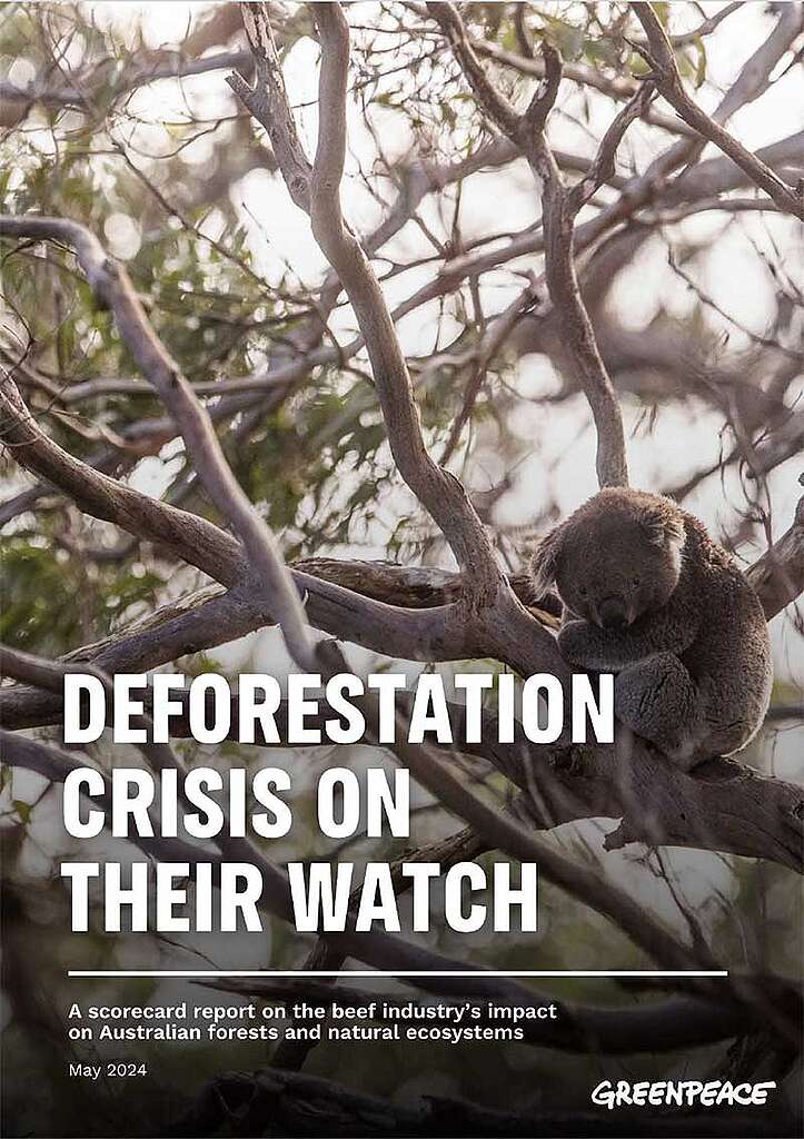 Deforestation & Forest Protection in Australia - Greenpeace Australia ...