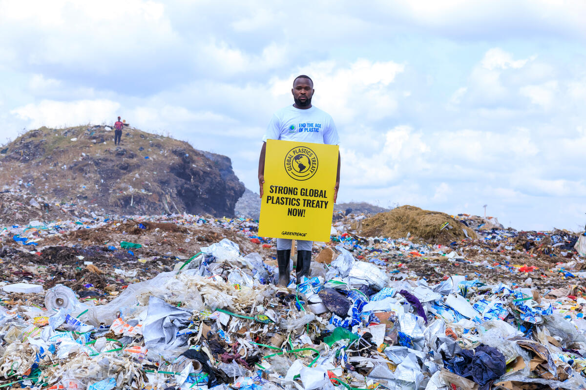 Global Plastics Treaty - Greenpeace Australia Pacific