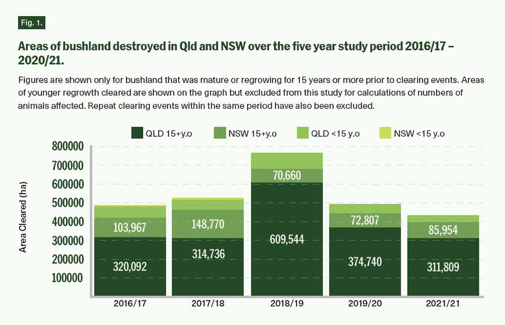 Report: The ongoing animal welfare crisis from deforestation in ...