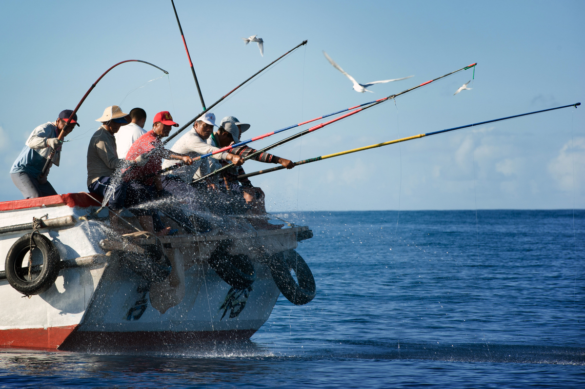 Sustainable Fishing - Greenpeace Australia Pacific
