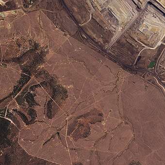 It’s time to fight deforestation. - Greenpeace Australia Pacific