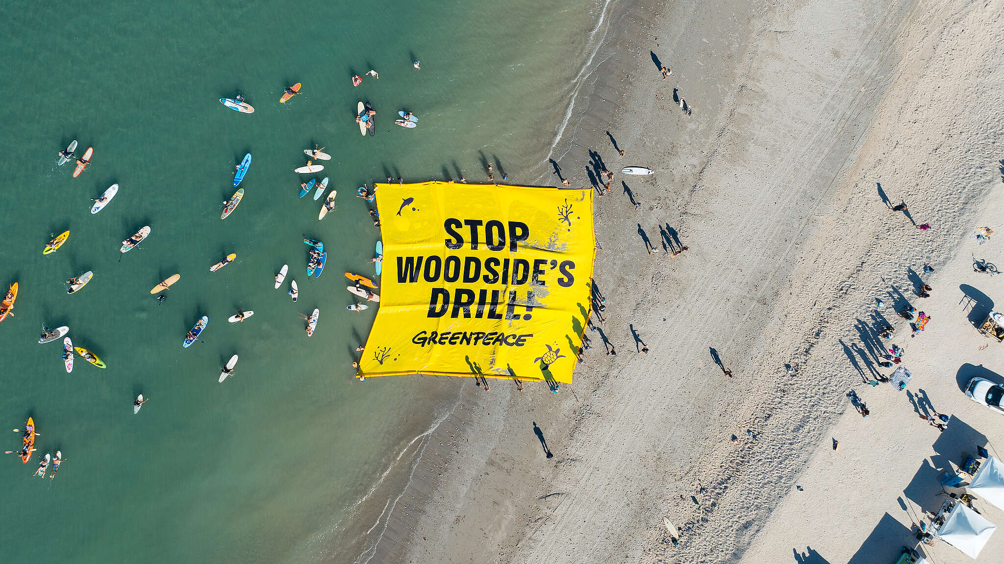 Save Scott Reef - Greenpeace Australia Pacific
