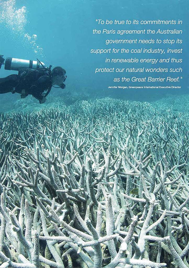 The Great Barrier Reef - Greenpeace Australia Pacific