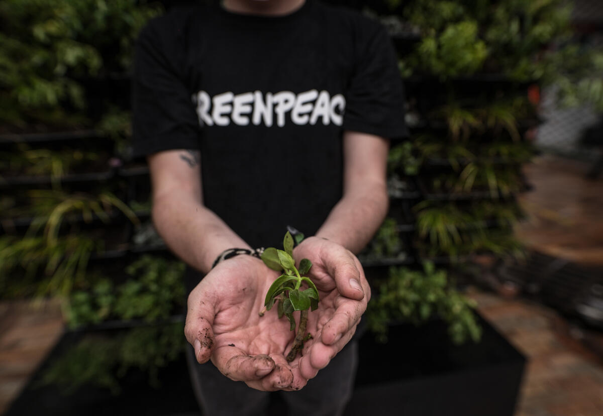 How Greenpeace Is Funded - Greenpeace Australia Pacific