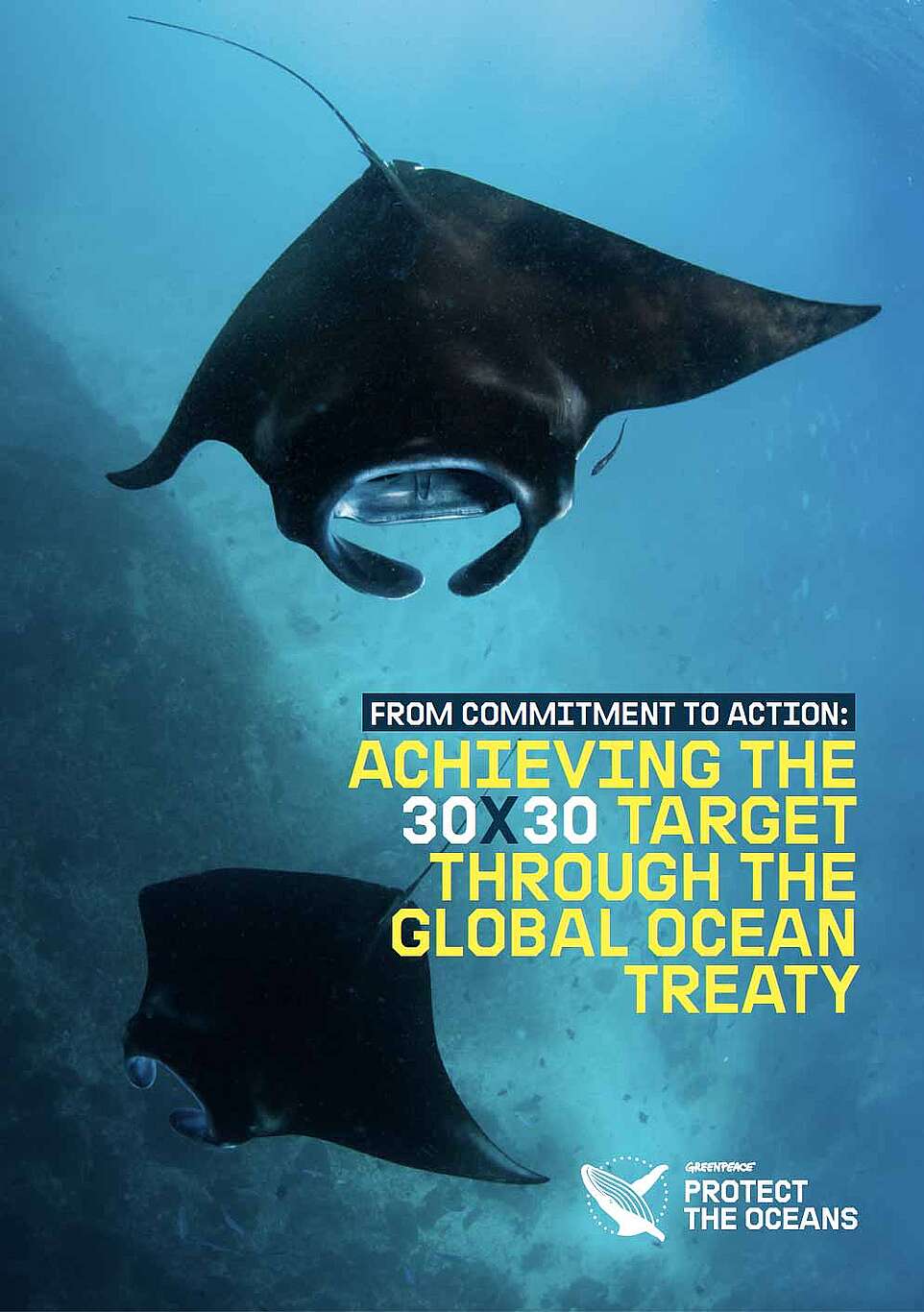 Sustainable Fishing and Ocean Protection - Greenpeace Australia Pacific