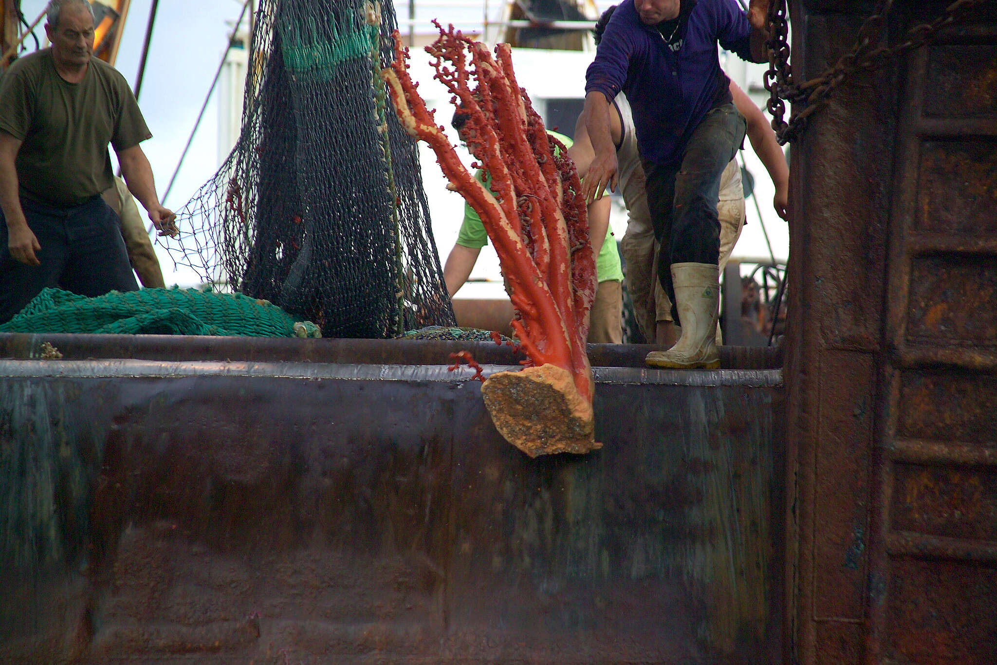 What is Bottom Trawling? - Greenpeace Australia Pacific