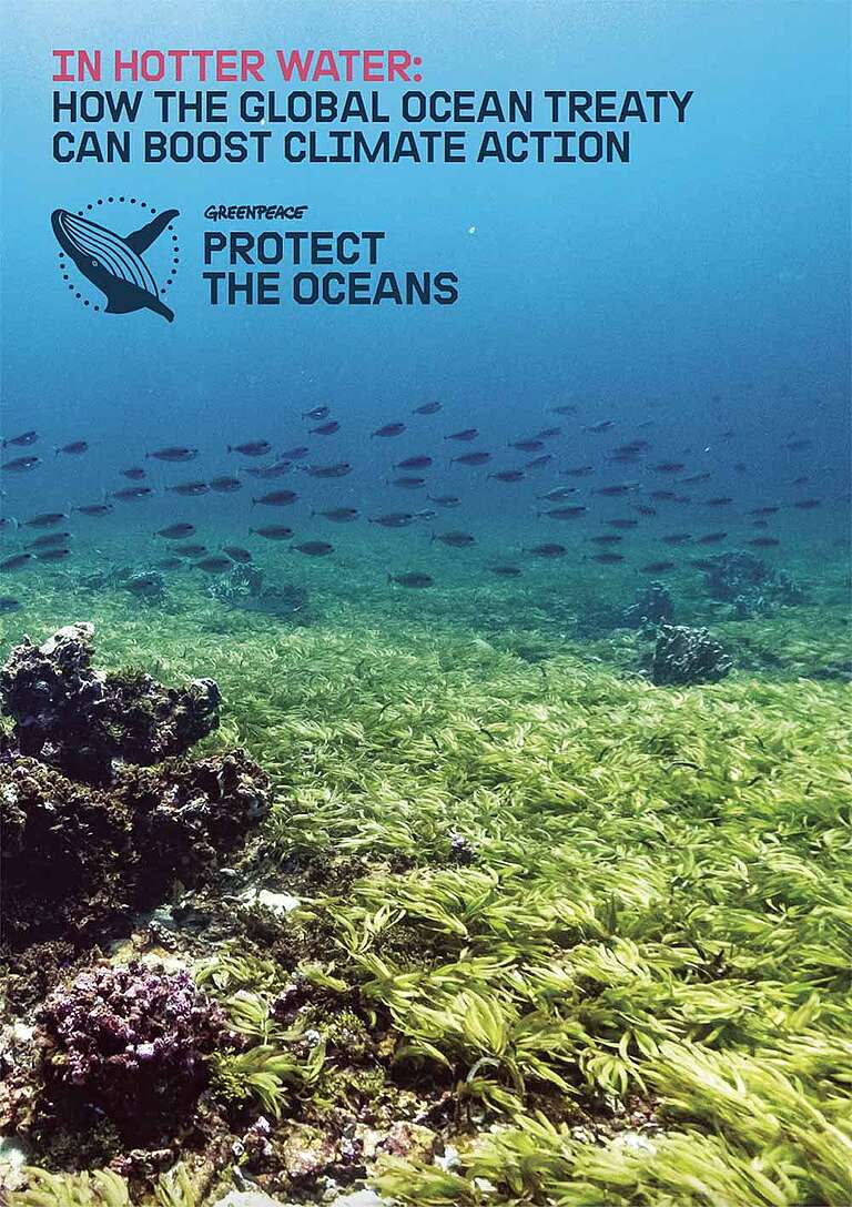Global Ocean Treaty Explained - Greenpeace Australia Pacific