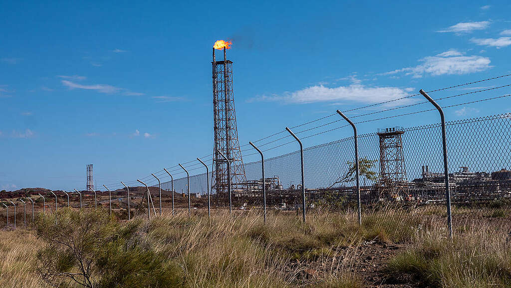 Why Woodside’s North West Shelf risks Scott Reef - Greenpeace Australia ...