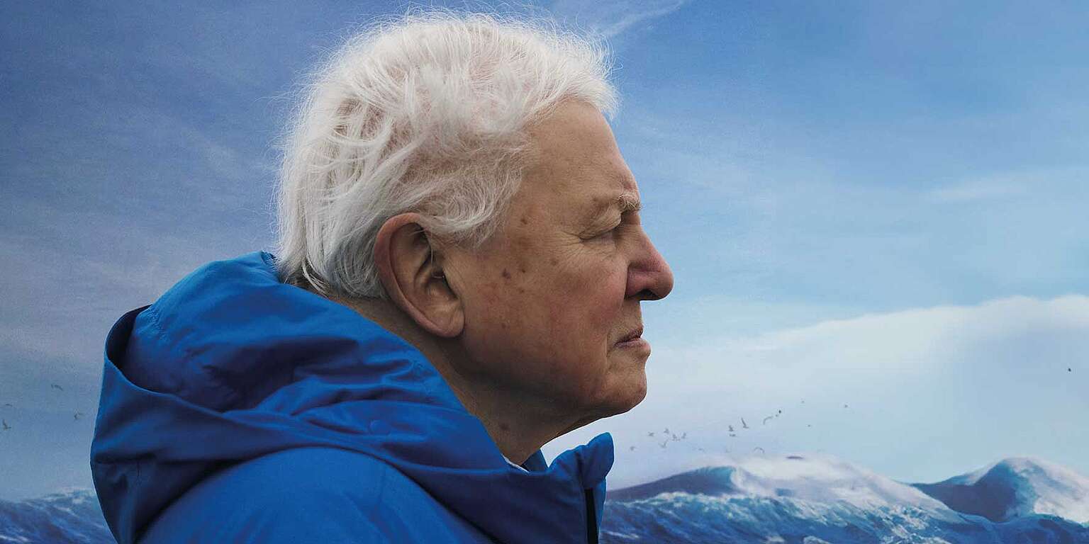 Death by plastic: Why are turtles dying near Sydney? - Greenpeace ...