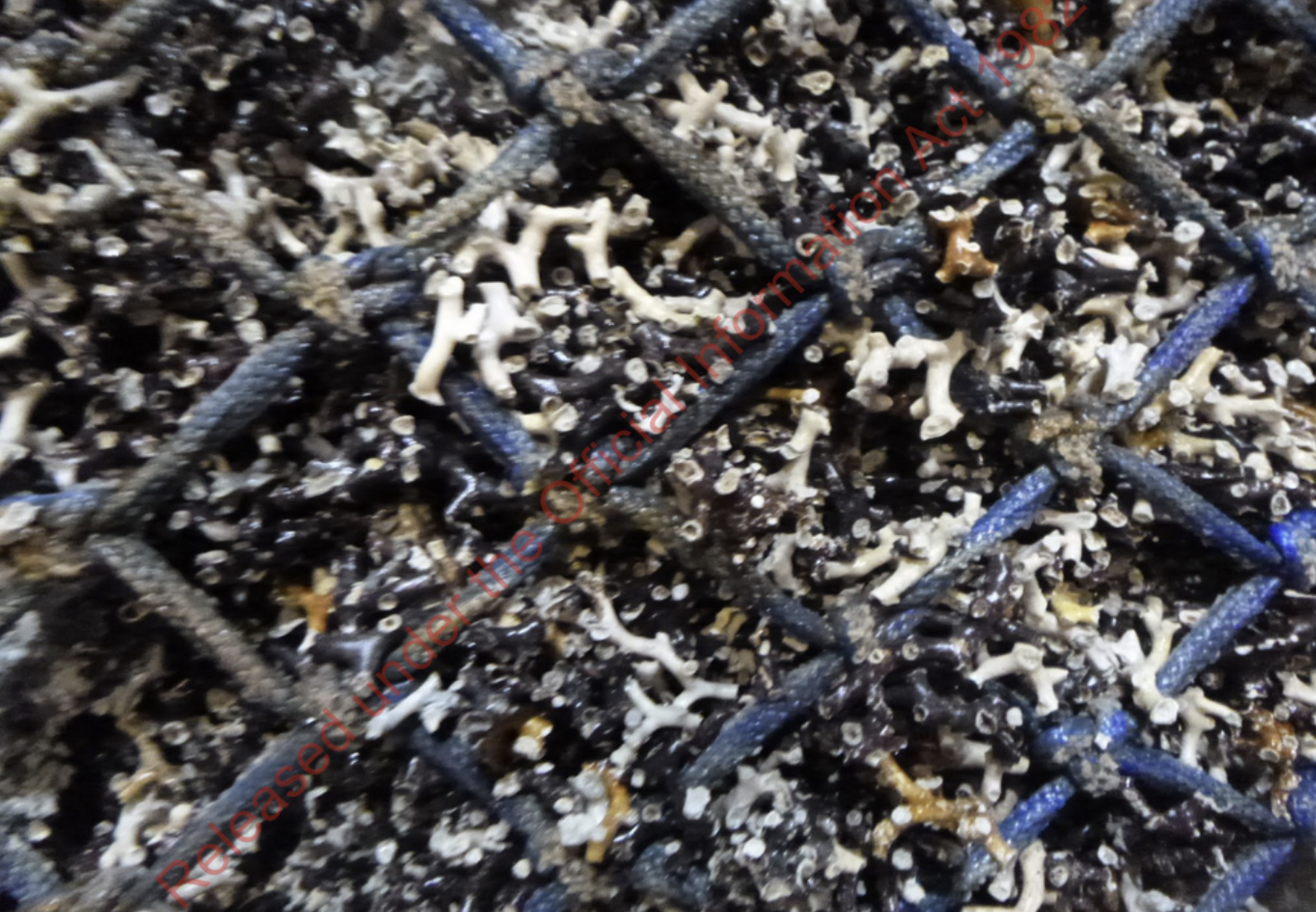 Bottom trawling continues to cause large scale destruction in the ...