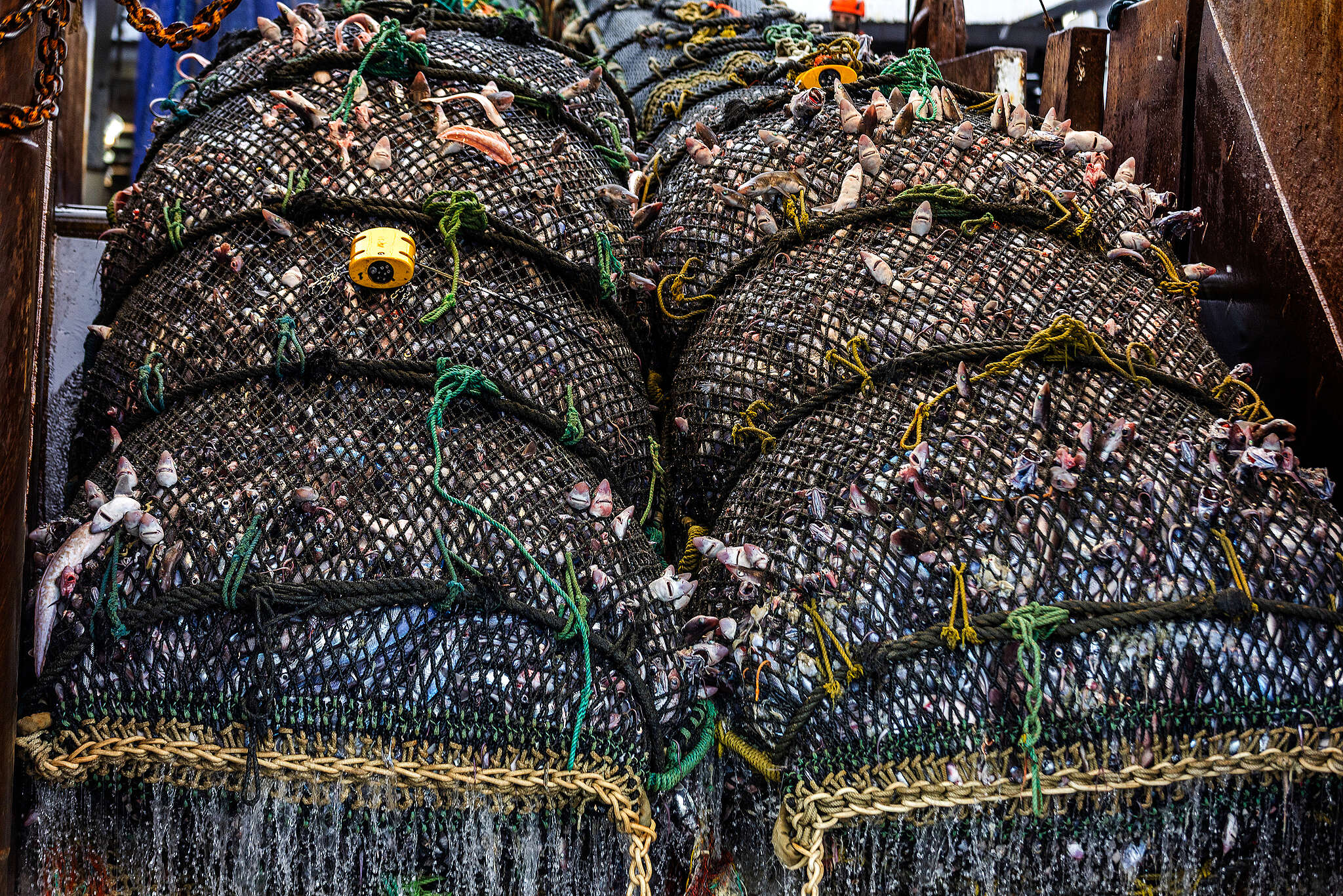 Greenpeace activists rebrand NZ bottom trawler “ocean killer” at sea ...