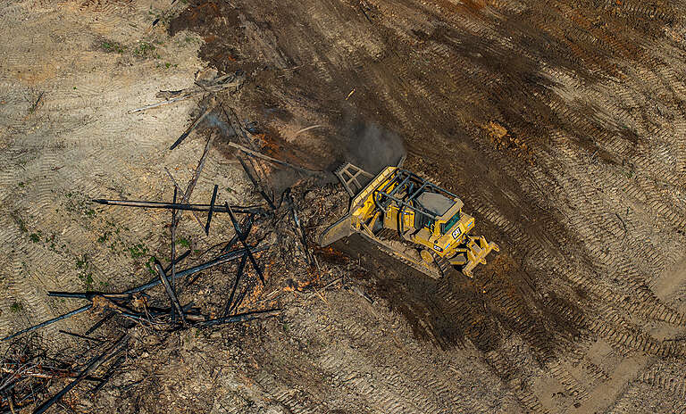 How Deforestation Harms the Great Barrier Reef - Greenpeace Australia ...