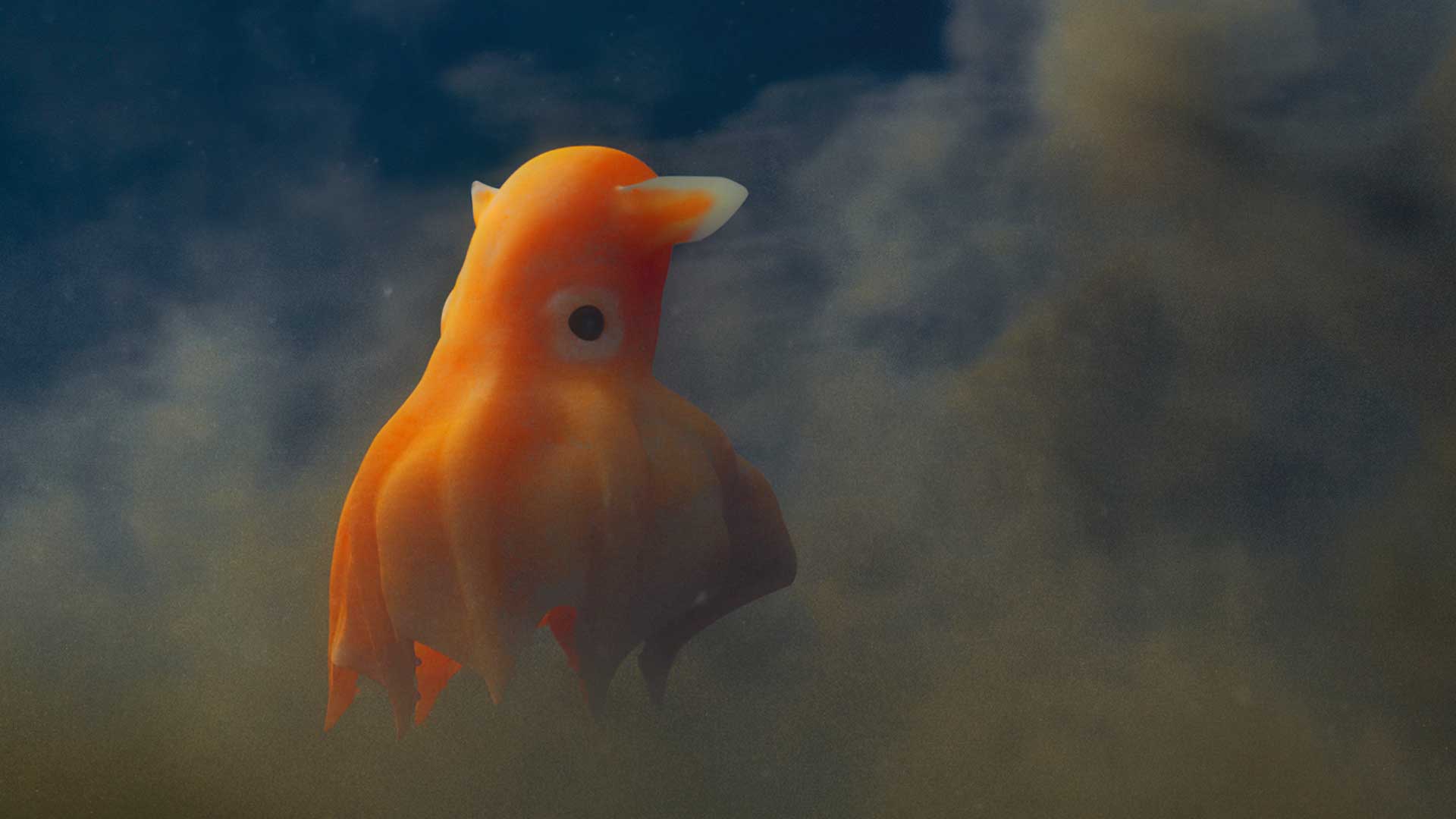 The Ocean We’re Still Discovering - Greenpeace Australia Pacific