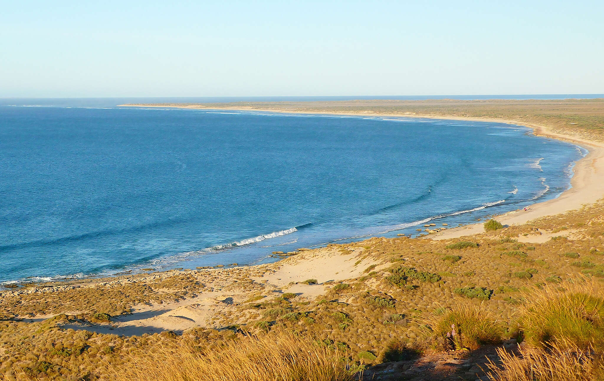 WA’s Demersal Fishing Ban Shows What Science Has Been Telling Us for ...
