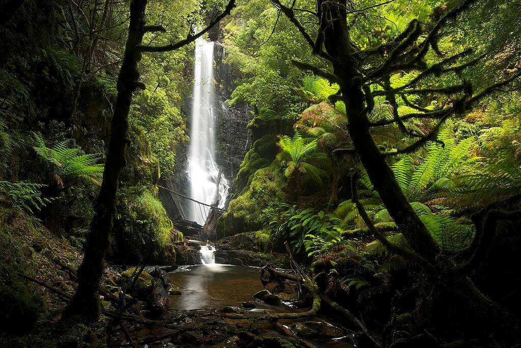 The 2026 budget test: Will Australia break free from fossil fuels ...